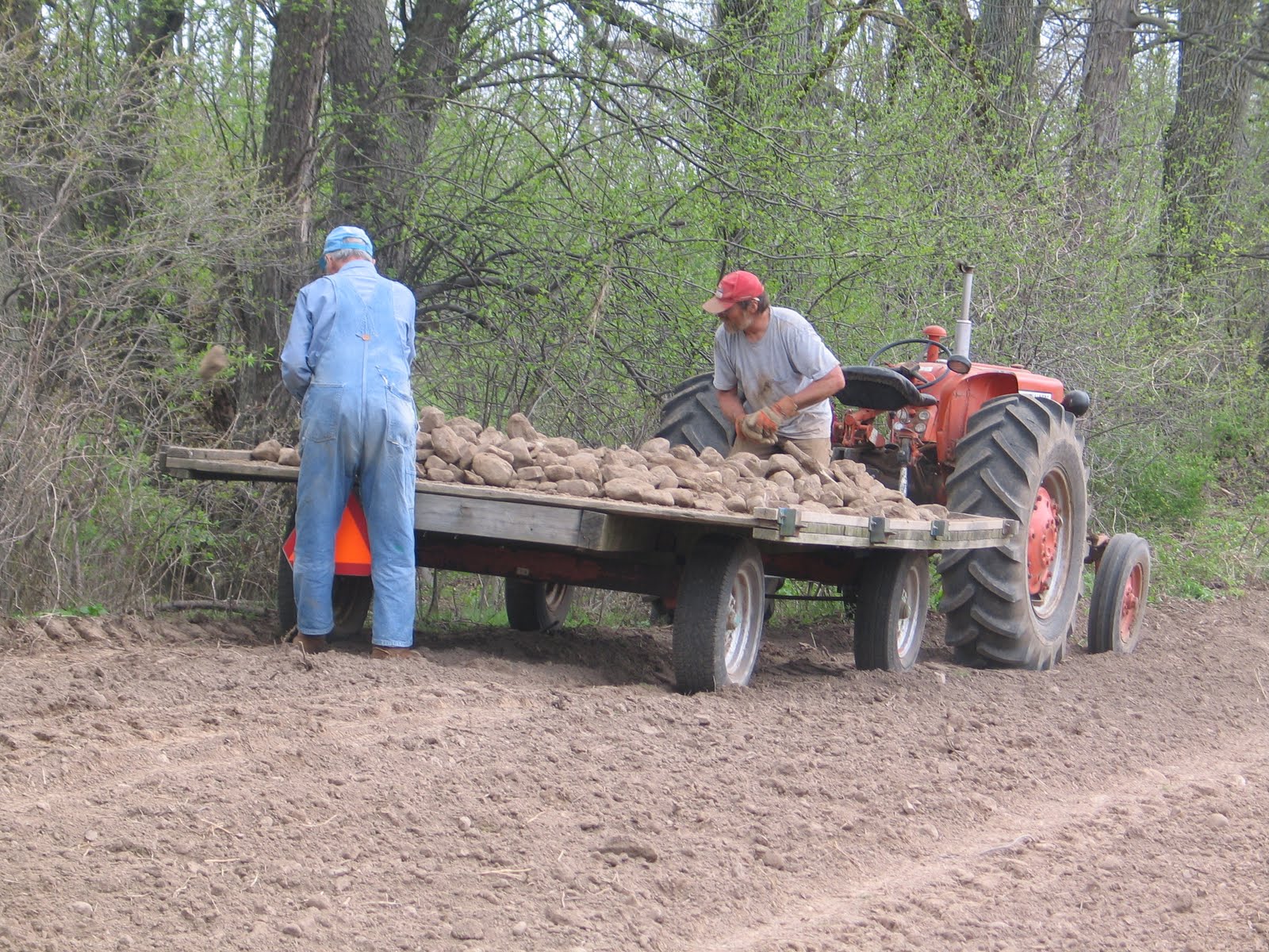 Picking Stones | Lessons from the Trail